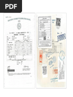 Matric Certificate | PDF