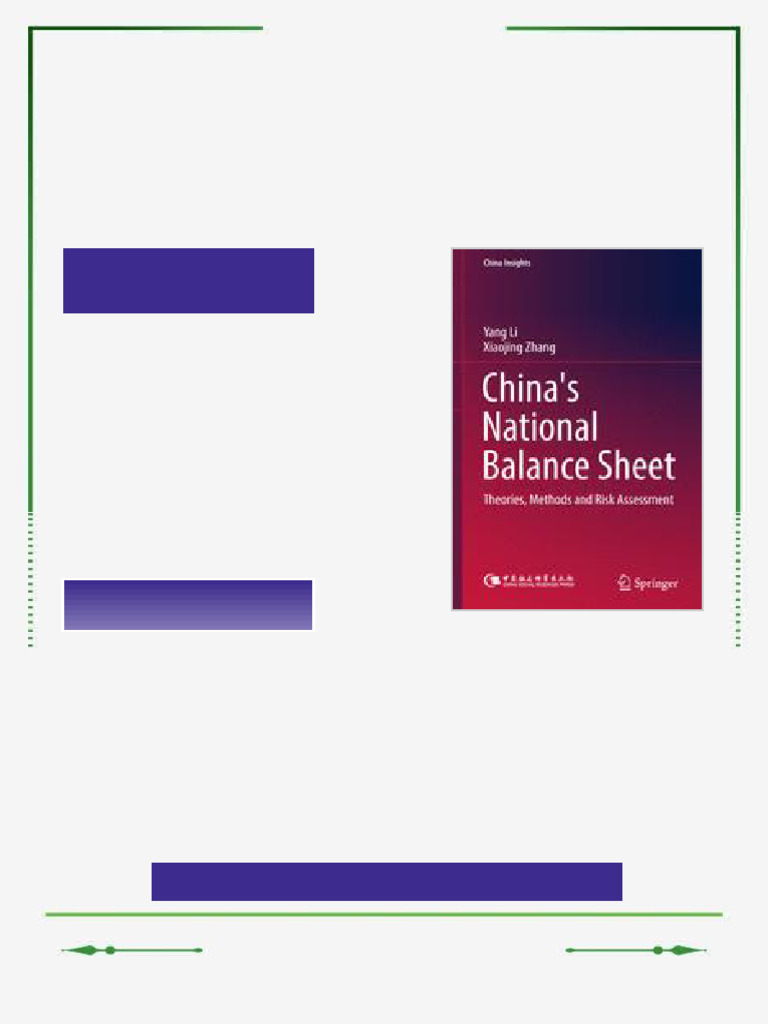 China s National Balance Sheet Theories Methods and Risk Assessment 1st ...