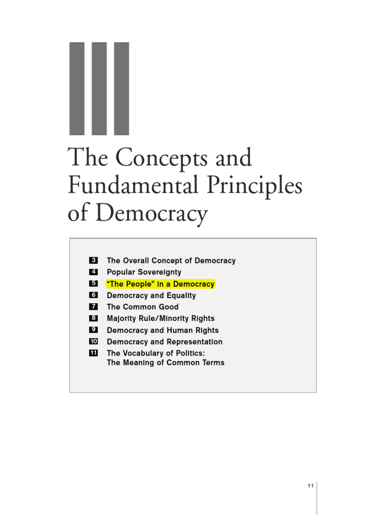 Principles of Democracy Explained | PDF | Democracy | Political Ideologies