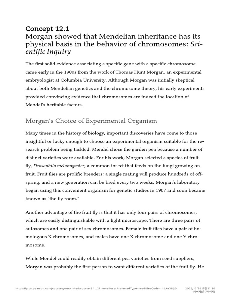 Morgan's Fruit Fly Genetics Discoveries | PDF | Genotype | Dominance ...