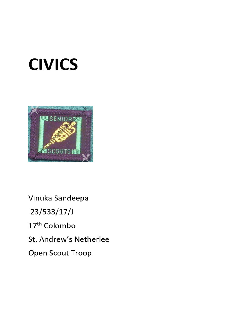 CIVICS 2 | PDF | Elections | Voting