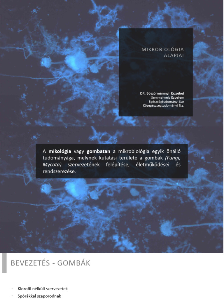 Gombák | PDF