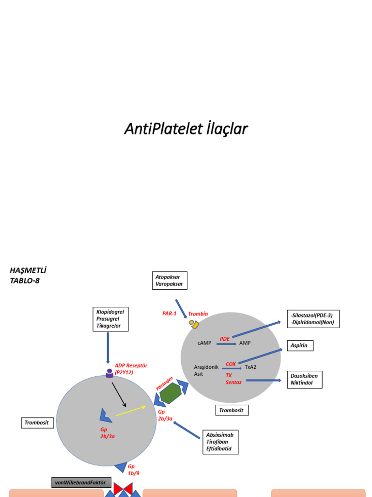 3.modül-Antiplatelet | PDF