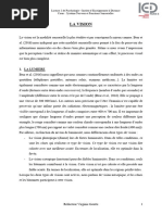 Anatomie du Corps Géniculé Latéral | PDF | Système visuel | Vision