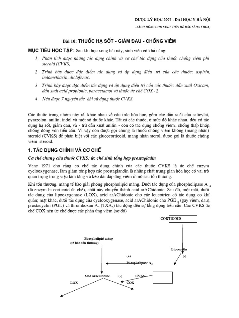 Bai 10 Thuoc Ha Sot Giam Dau Chong Viem | PDF