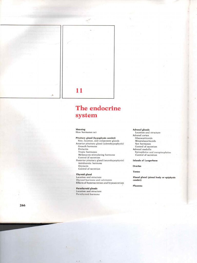 ENDOCRINE SYSTEM Anatomy Physiology 1 | PDF
