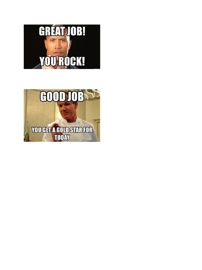 Good Job Meme | PDF