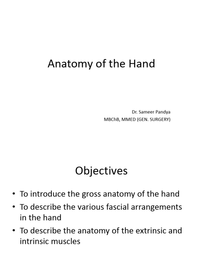 Understanding Hand Anatomy and Muscles | PDF | Thumb | Hand