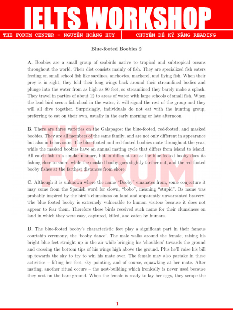Reading w43 Level1 F | PDF | Birds | Zoology