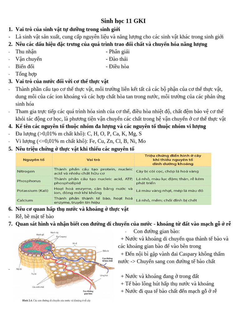 Sinh học 11 GKI | PDF