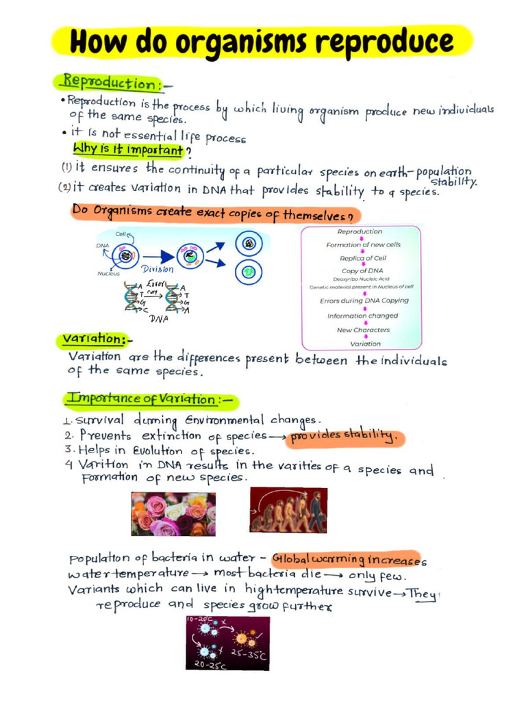 How Do Organisms Reproduce Handwritten Notes | PDF
