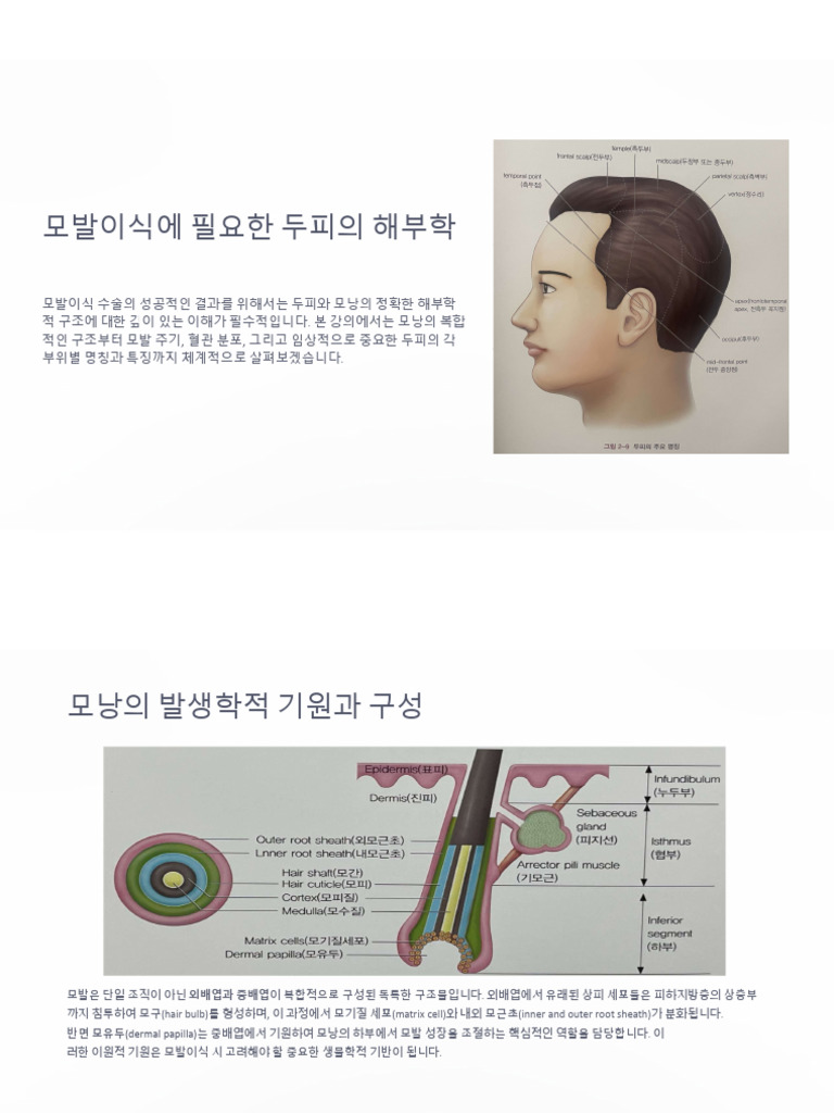 Korean Language Medical Students | PDF