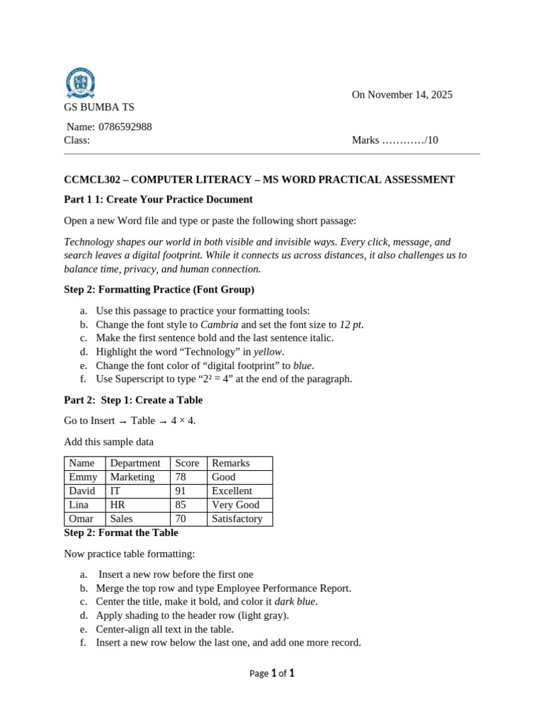 MS Word Practical Assessment Guide | PDF