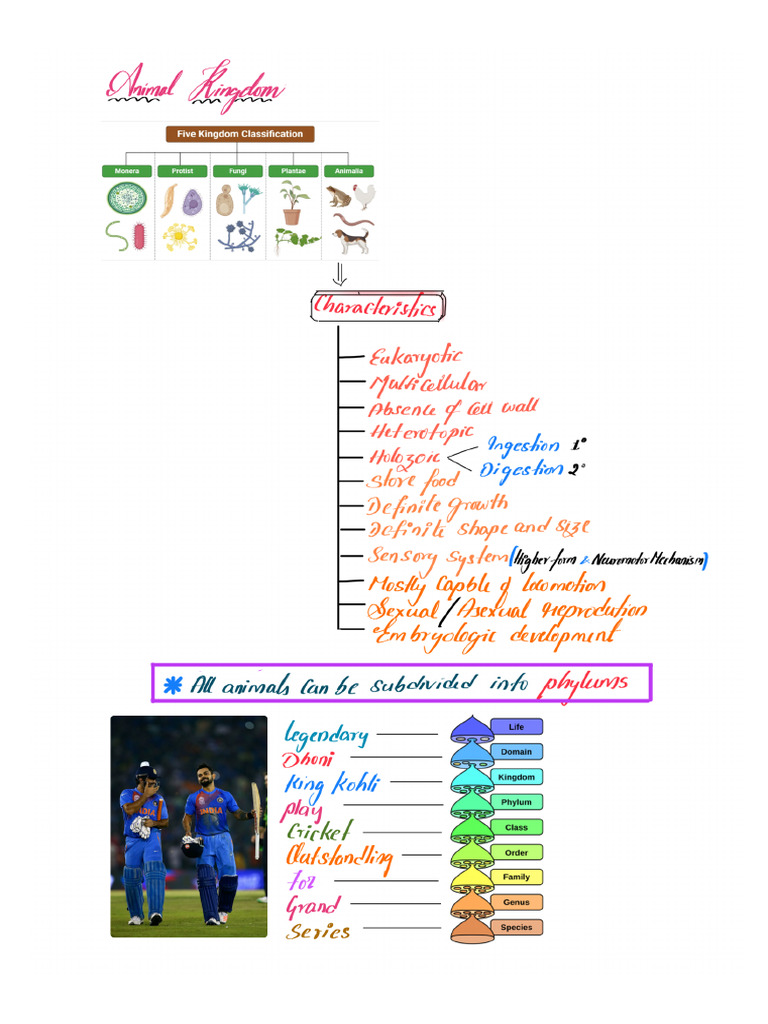 New Note 3 | PDF
