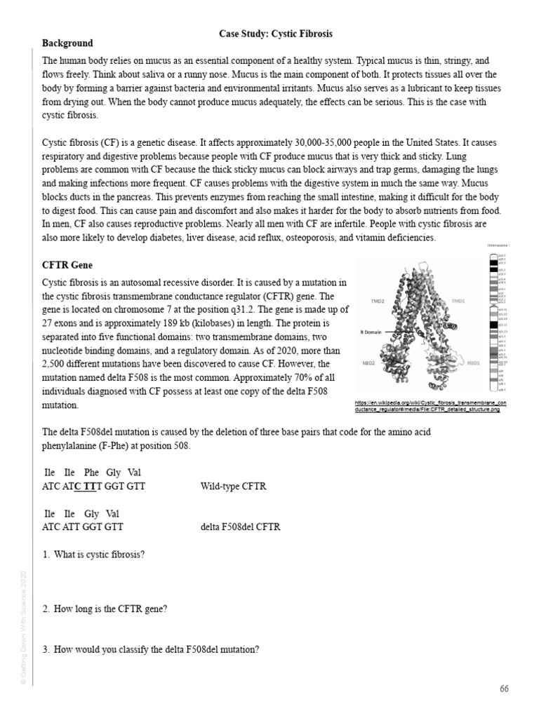 Understanding Cystic Fibrosis and CFTR Mutations | PDF | Molecular ...
