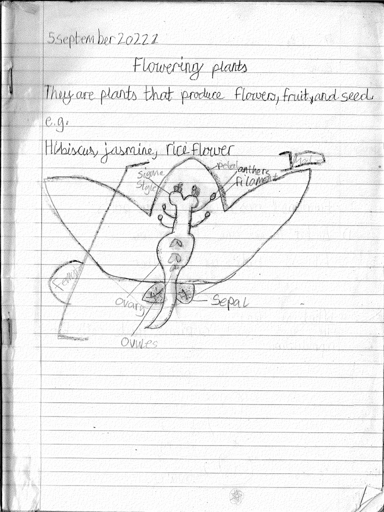 Science Year 5 Part 1 | PDF