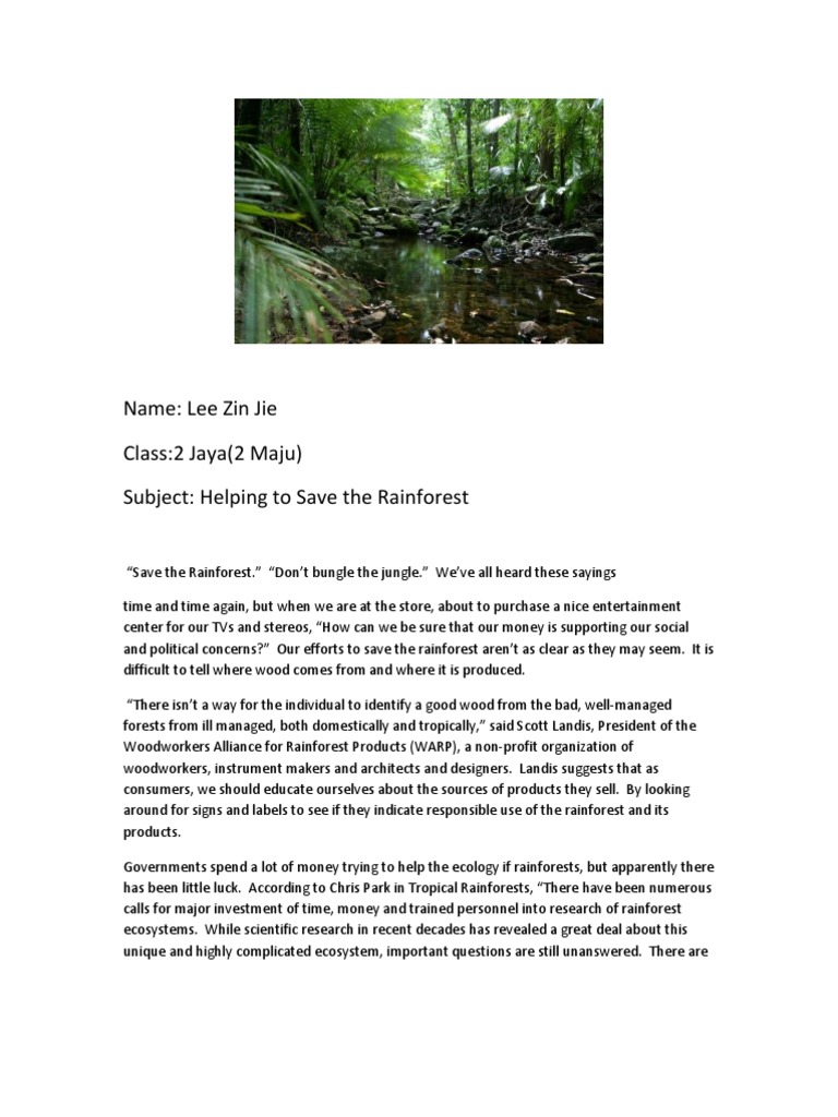 Ways to Help Save the Rainforest | PDF | Deforestation | Rainforest
