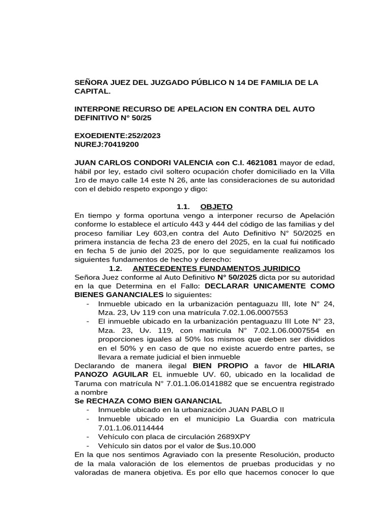 APELACION DE DON JUAN CARLOS2222 | PDF | Apelación | Sentencia (ley)