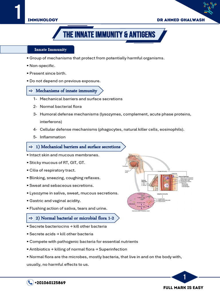 Understanding Innate Immunity Mechanisms | PDF | Immune System | Innate ...