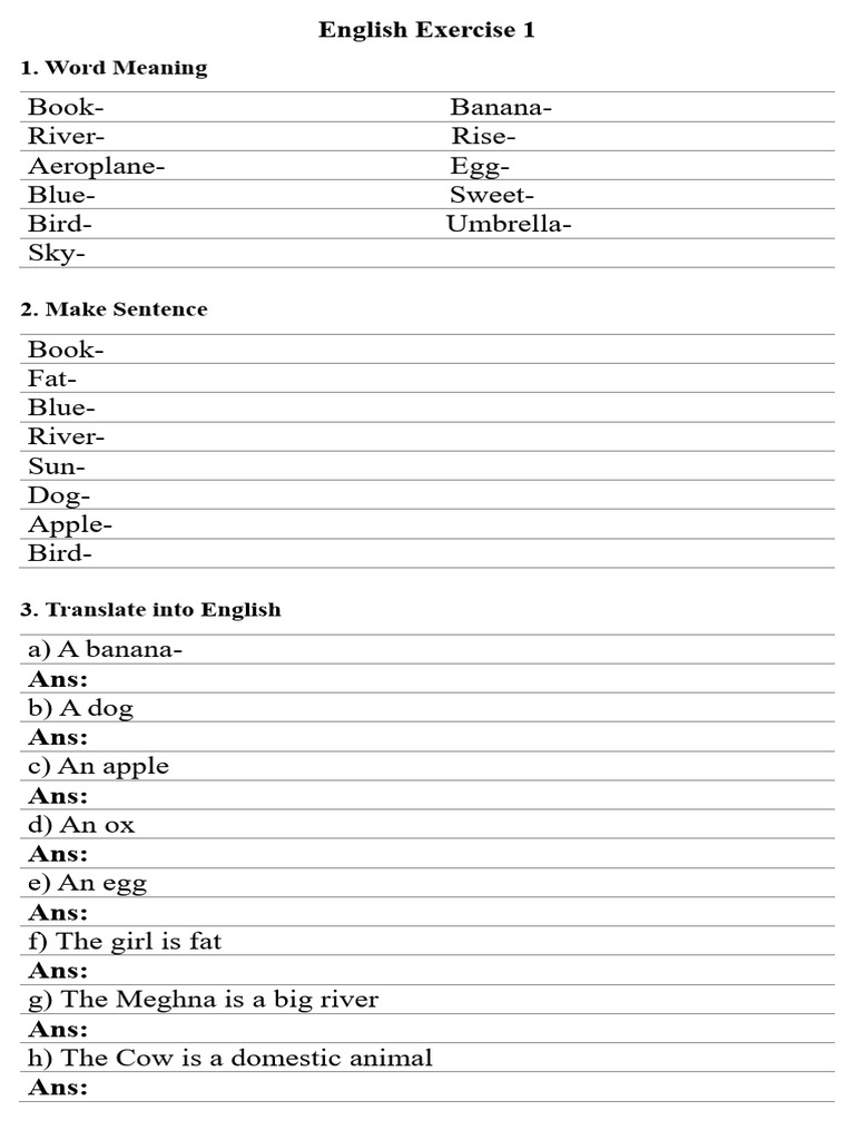 English Exercise 1 | PDF