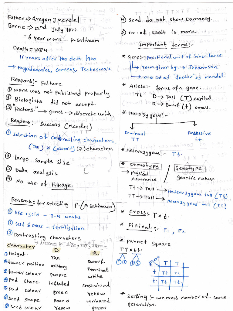 cell cycle_20210521_0001 | PDF