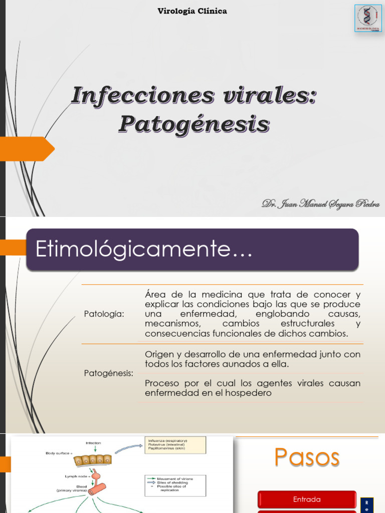 Patogénesis | PDF | Infección | Virus