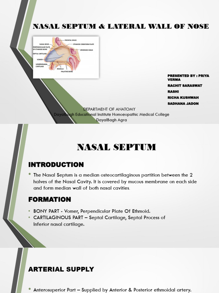NASAL SEPTUM & LATERAL WALL OF NOSE-1 | PDF | Human Nose | Human Head ...
