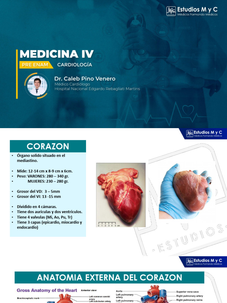 CARDIOLOGIA Pre ENAM | PDF | Corazón | Insuficiencia cardíaca