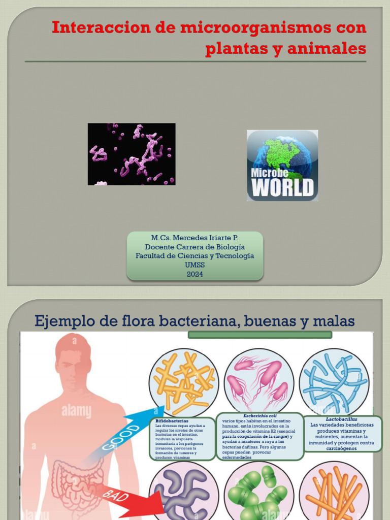 10. Inter Mos. Con Plantas y Animales Ultimo | PDF | Las bacterias | Enzima