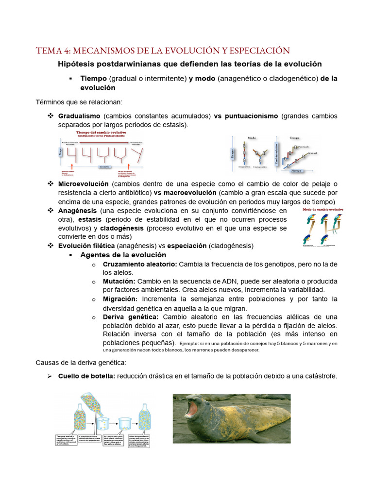 Tema 4 psicobiología UCM útil para todos los profesores | PDF | Evolución | Seleccion natural
