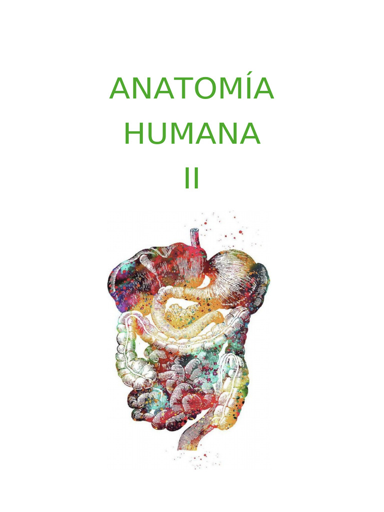 Anatomía II | PDF | Cerebro | Ganglios basales