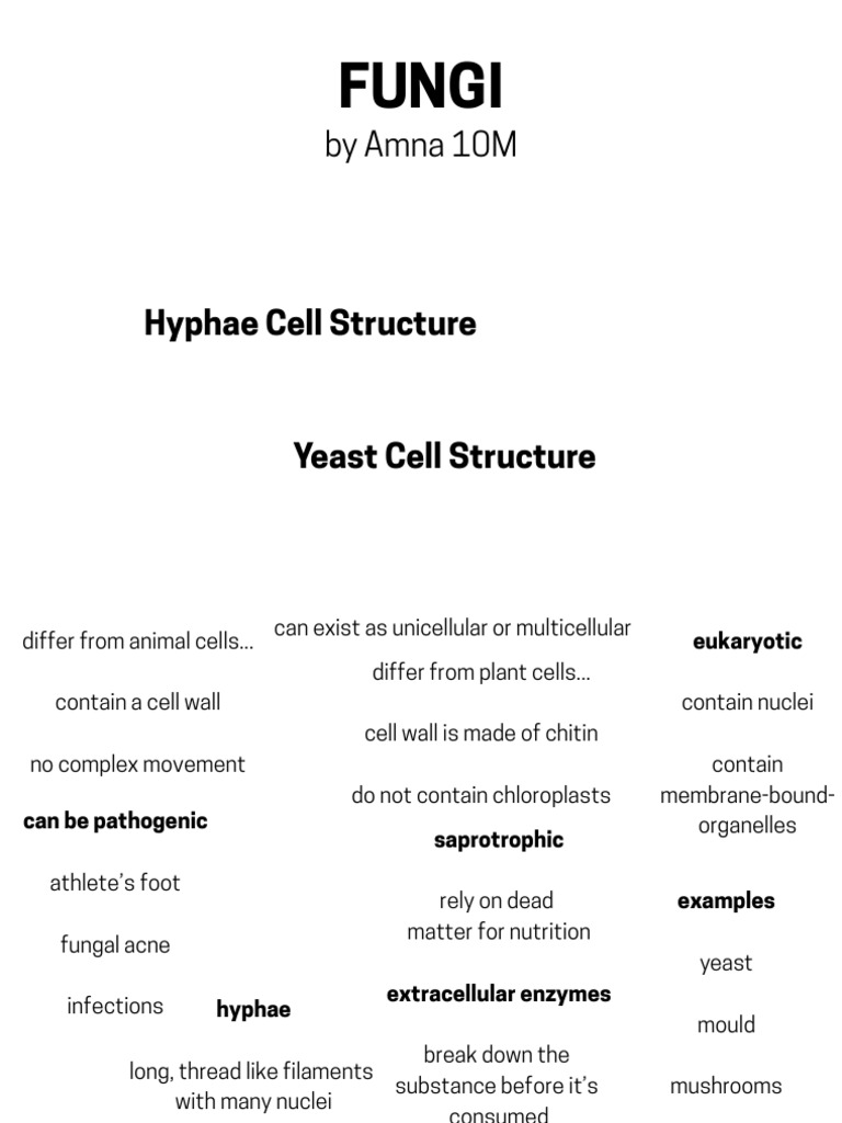 Fungi | PDF