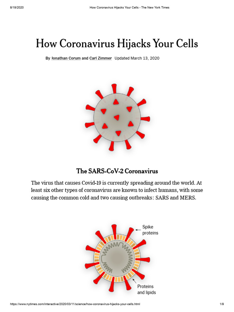 How Coronavirus Hijacks Your Cells | PDF | Virus | Influenza