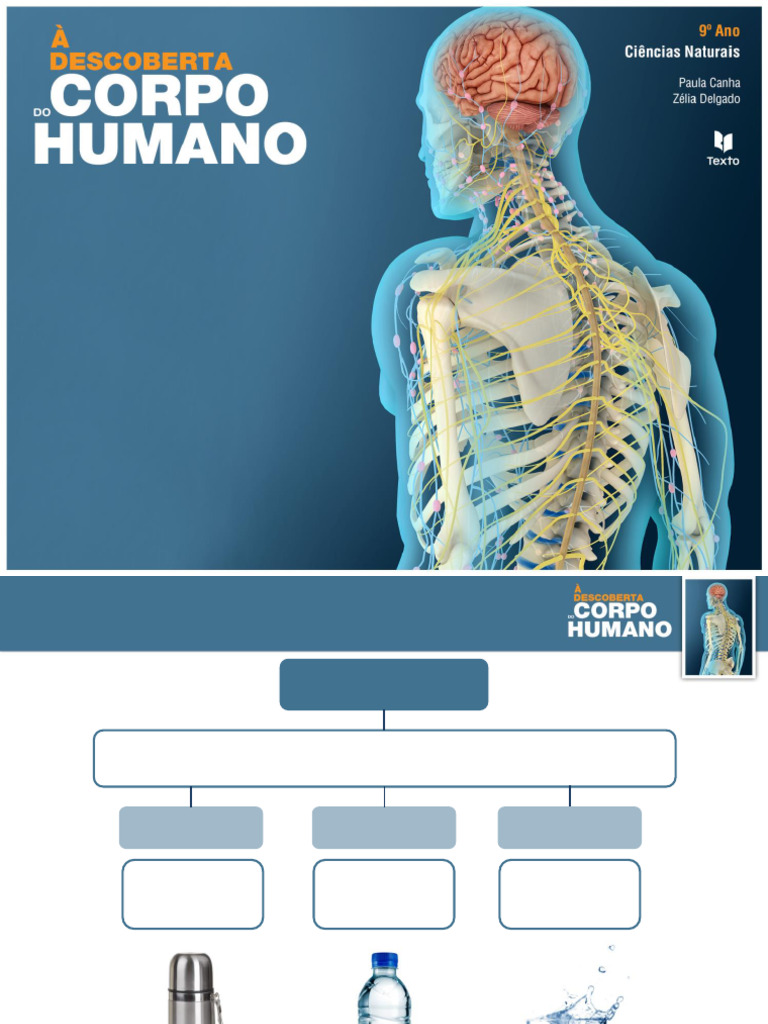 Niveis Estruturais Do Corpo Humano | PDF | Corpo humano | Anatomia