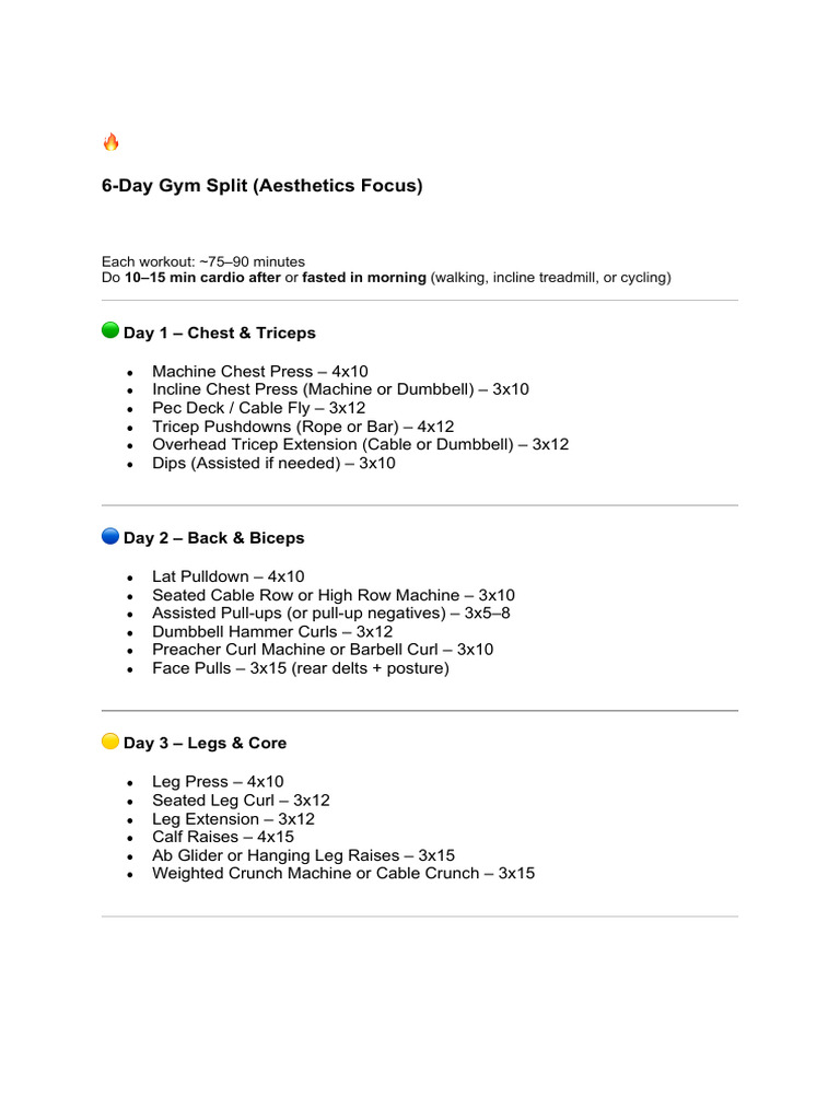6-Day Aesthetic Gym Workout Plan | PDF