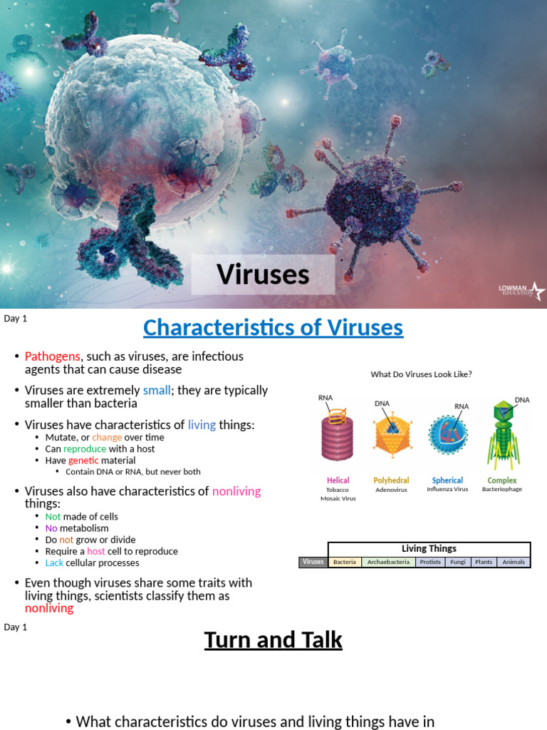 4. Viruses. Lesson. Science. Biology | PDF | Virus | Cell (Biology)