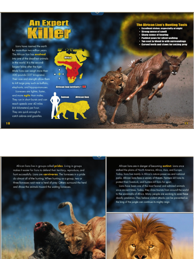 Lion | PDF
