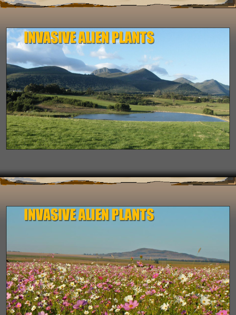Invasive Alien Plants in South Africa | PDF | Riparian Zone | Invasive ...