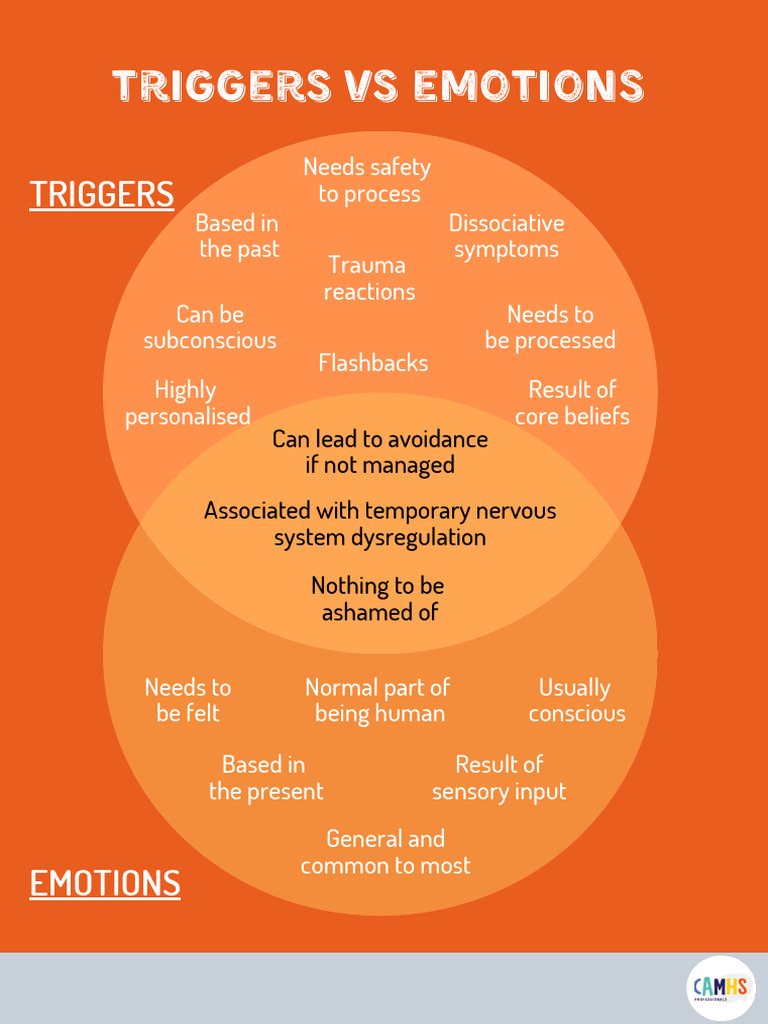 Triggers vs Emotions 1677312295 | PDF