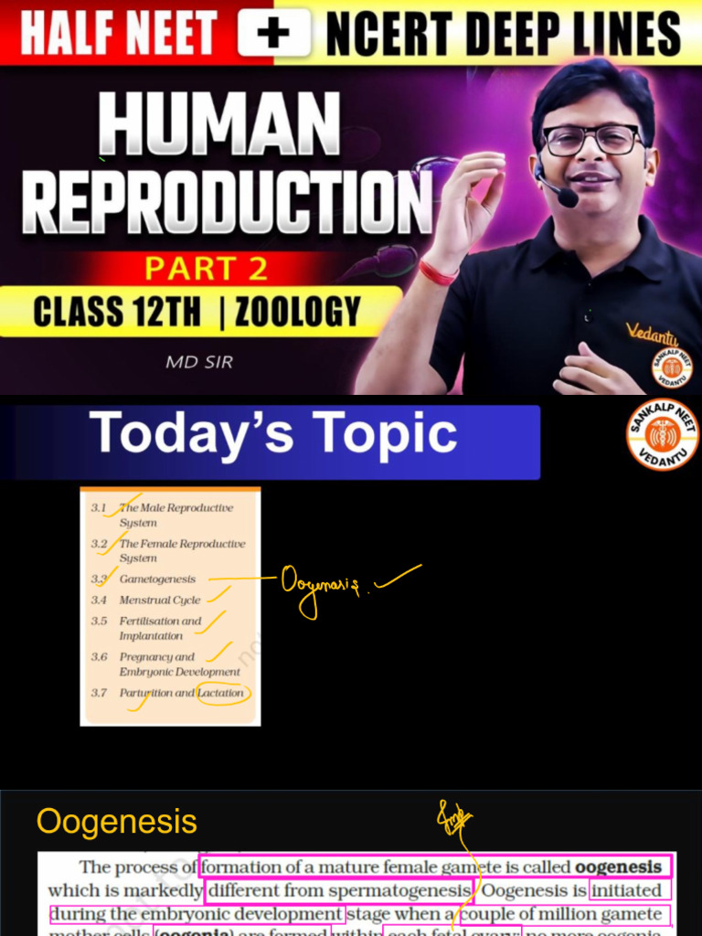 ncert human reproduction | PDF