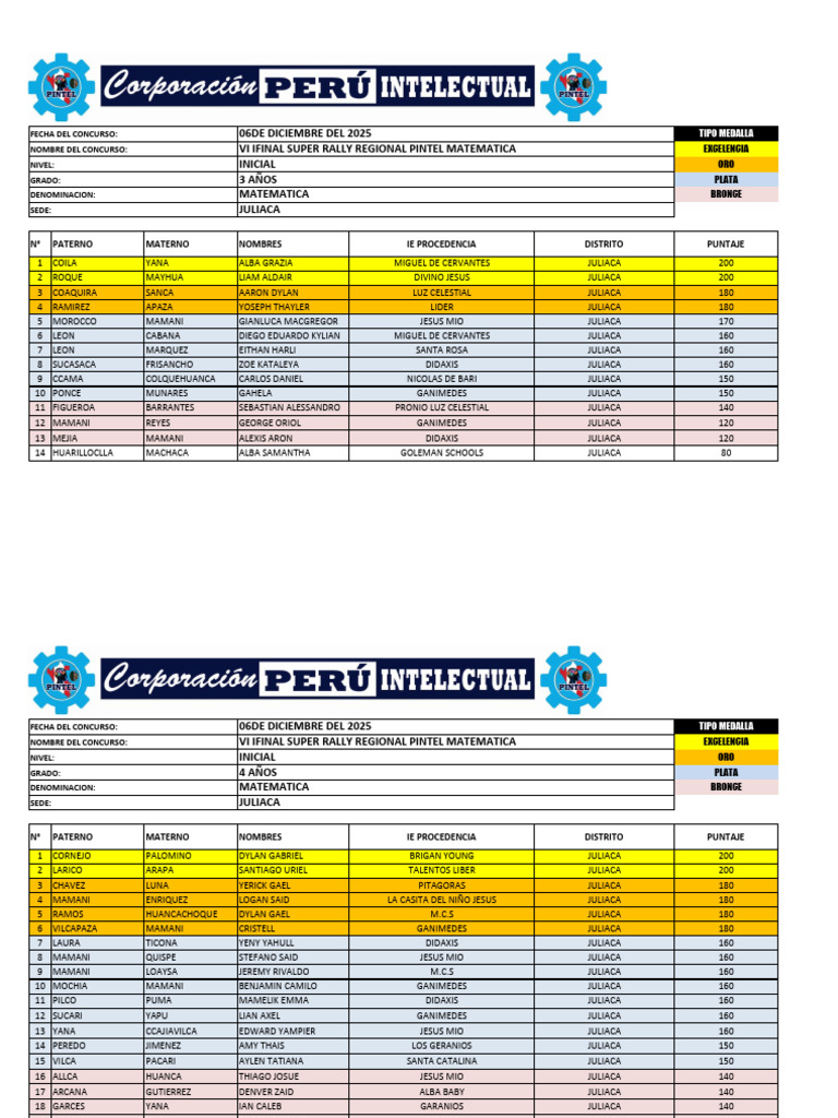 Vi Final Super Rally Juliaca - Pintel Matematica | PDF