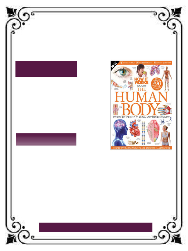 How It Works Book of the Human Body Imagine Publishing fully accessible ...