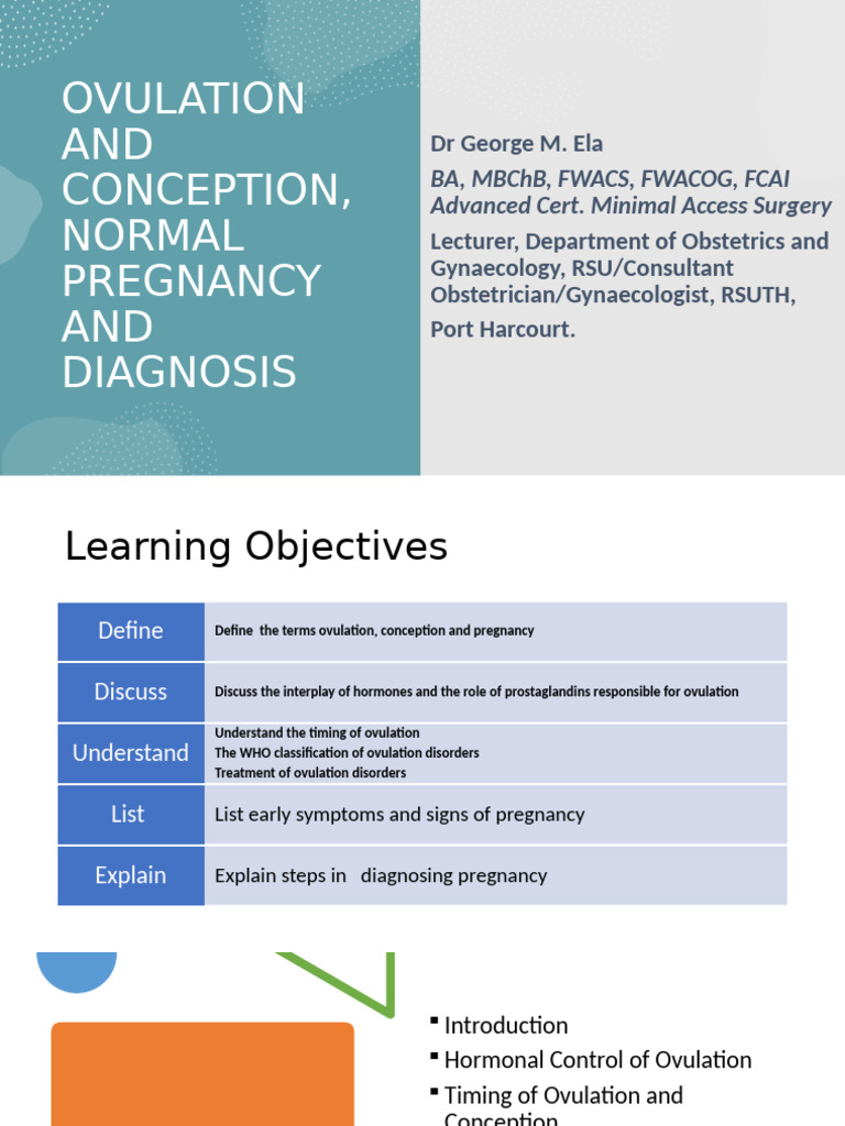 Ovulation and Conception, Normal Pregnancy and Diagnosis Updated ...