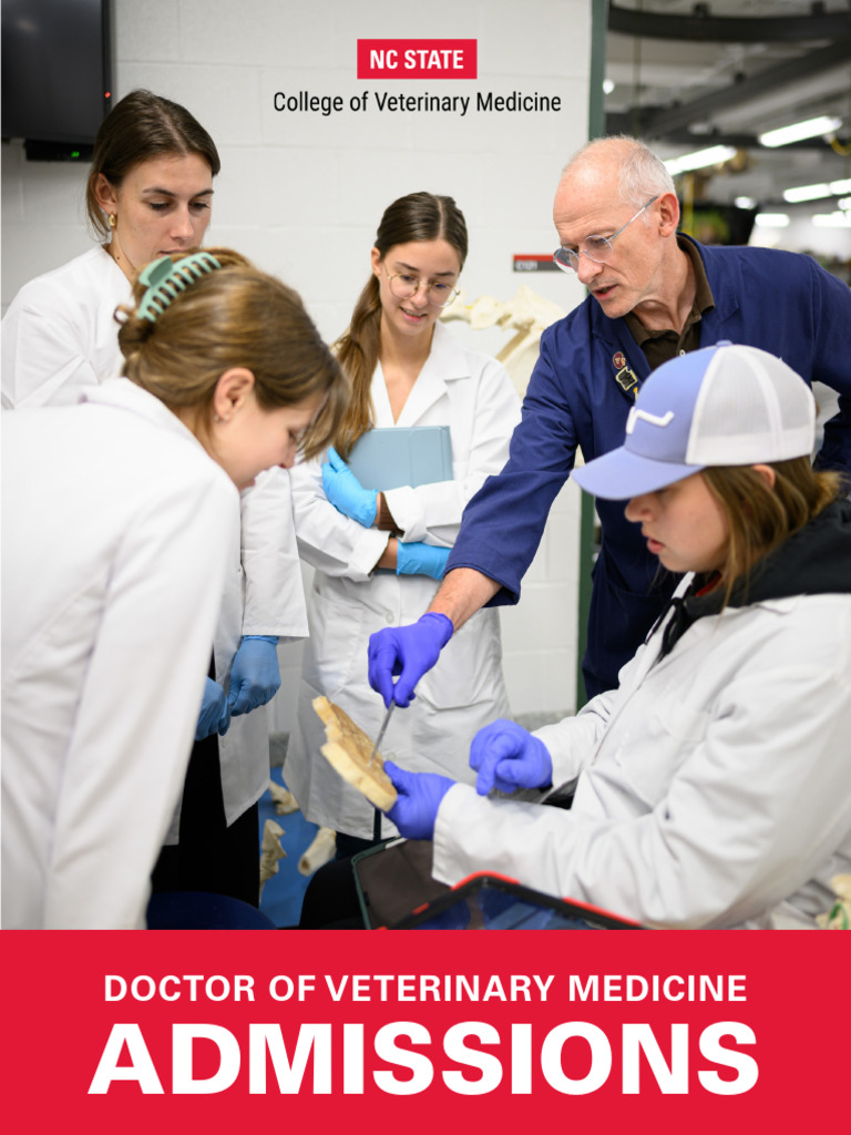 NC State Veterinary Medicine Admissions Guide | PDF | Curriculum ...