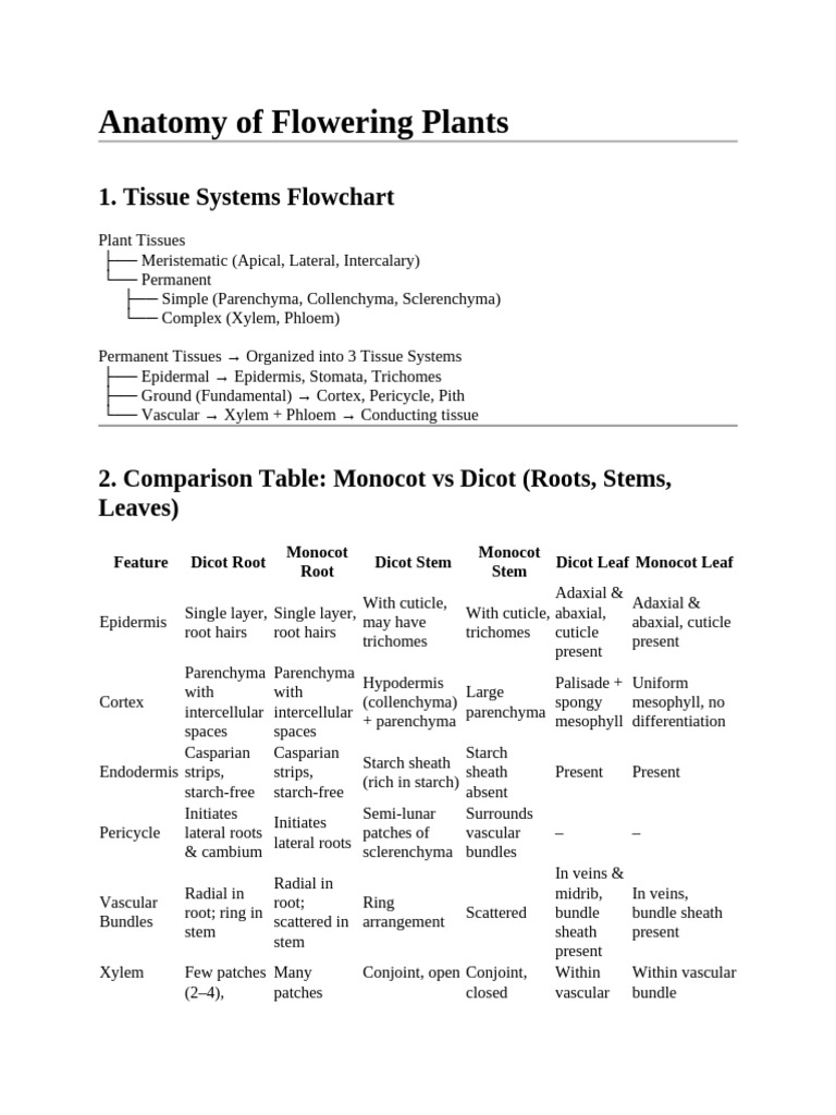 6.anatomy of Flowering Plants | PDF | Plant Stem | Leaf