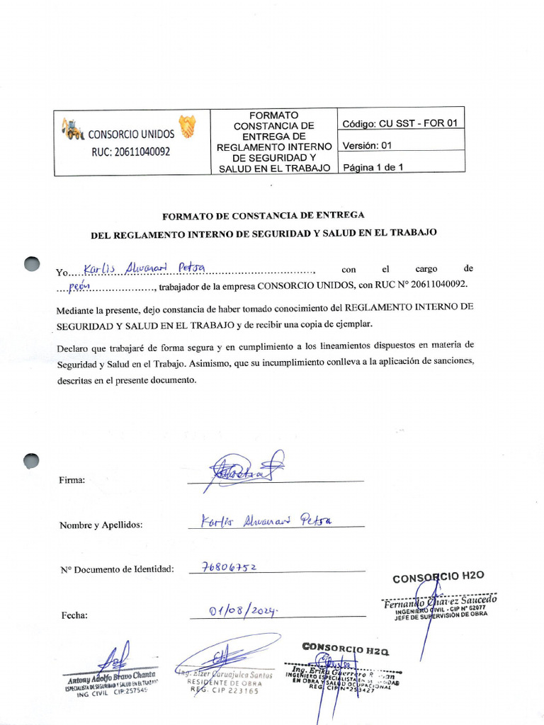 Entrega Del RISST Agosto2024 0001 | PDF