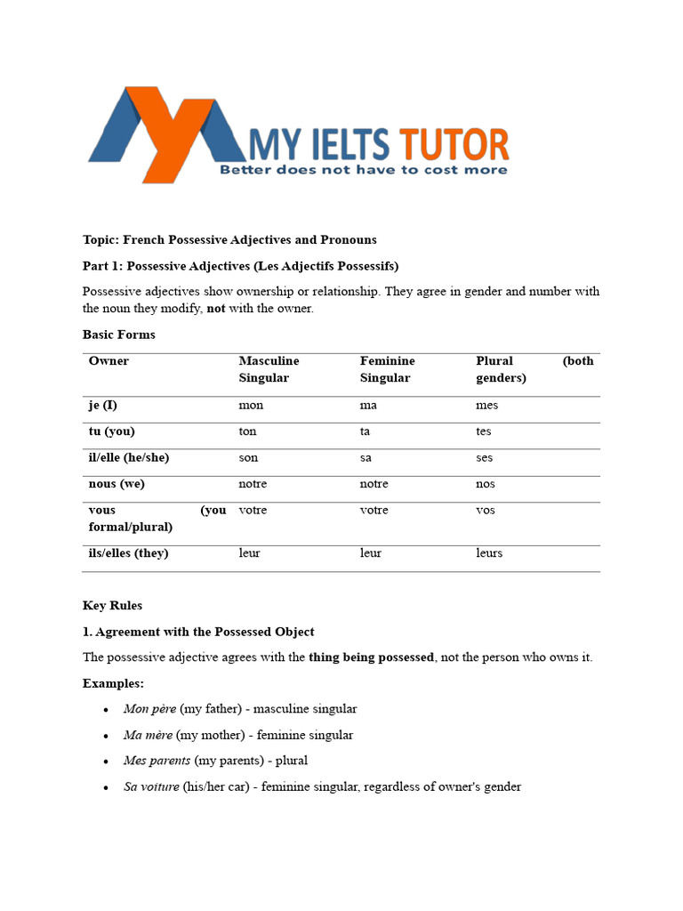 French Possessive Adjectives & Pronouns Guide | PDF | Grammatical ...