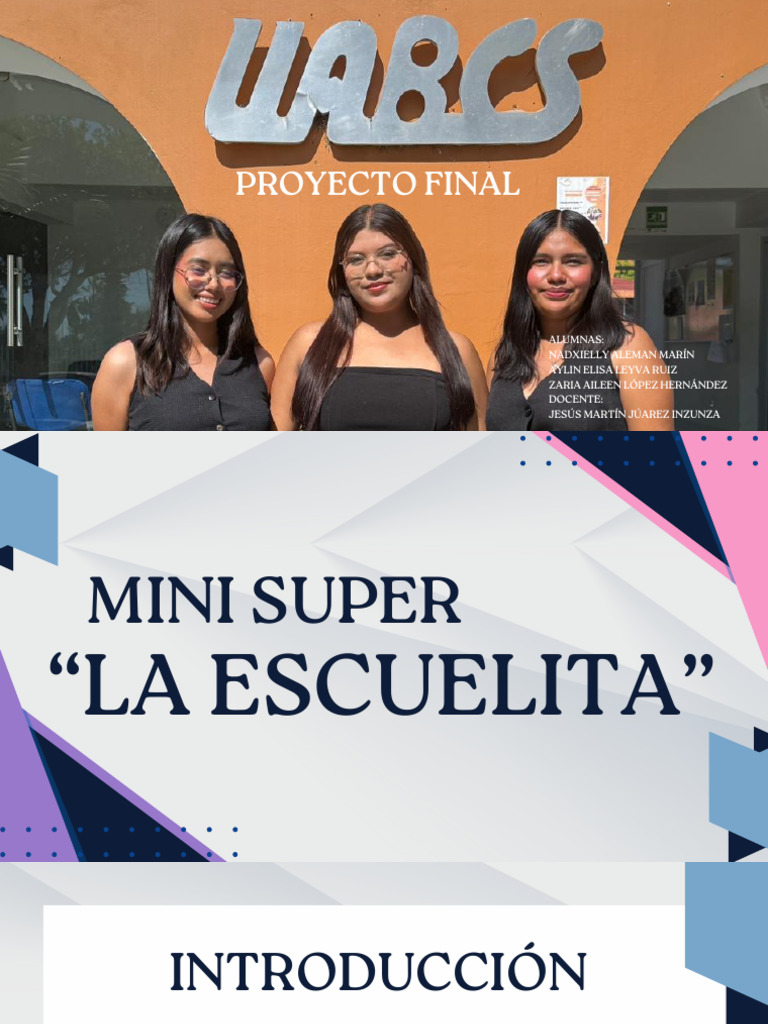 PRESENTACION PROYECTO FINAL.pdf | PDF | Servicio al Cliente | Investigación de mercado