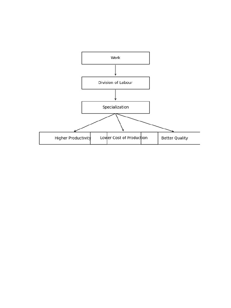 Division Specialization Flowchart | PDF