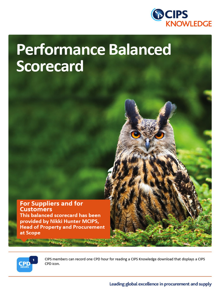 Supplier and Customer Scorecard Guide | PDF | Business | Economies